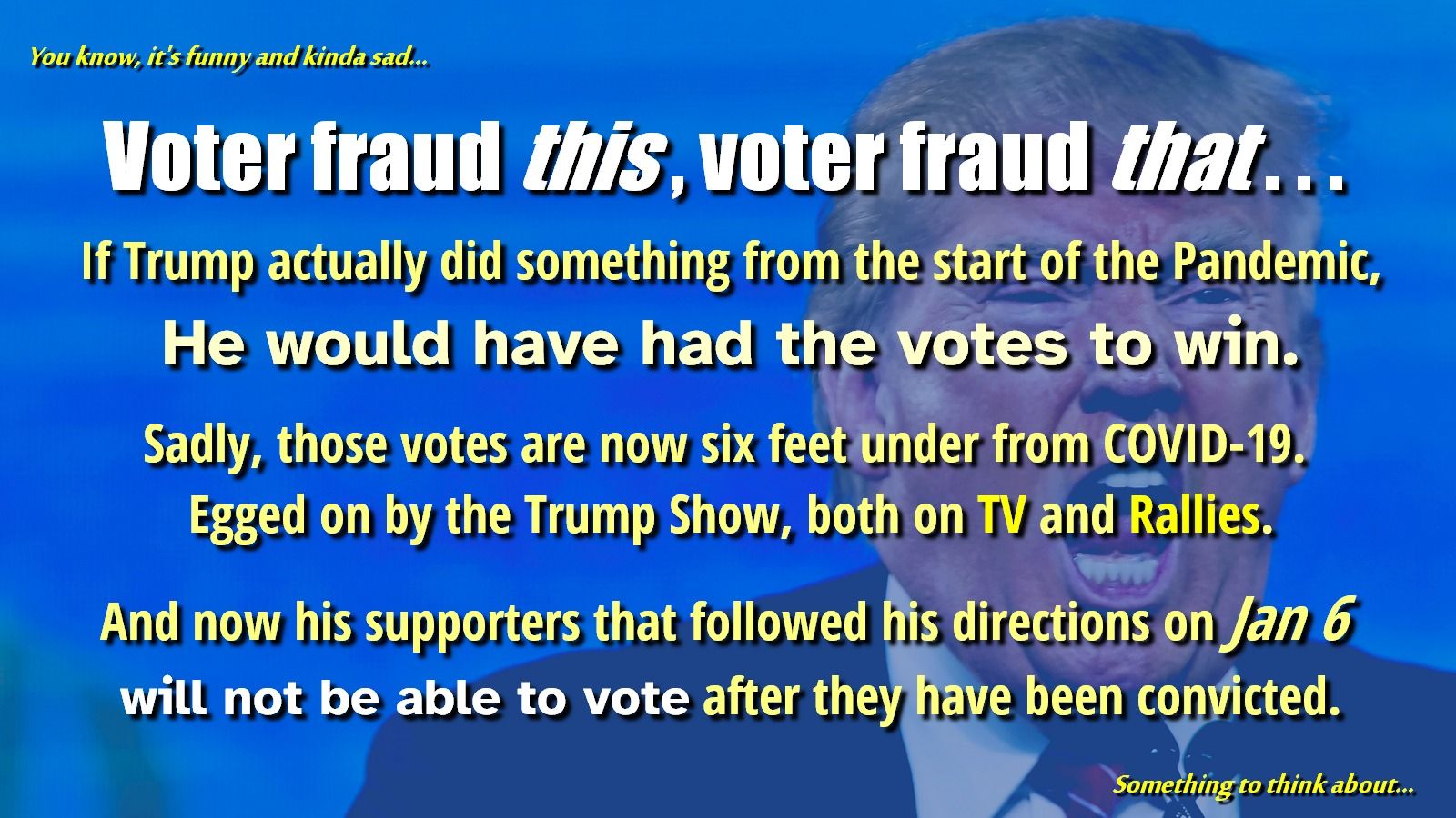 About that voter fraud... | Scrolller