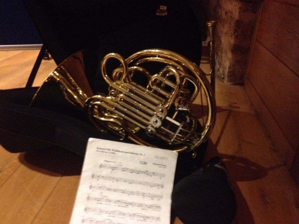 About to do my first ever solo performance with an orchestra, playing Strauss 1 Horn Concerto ...