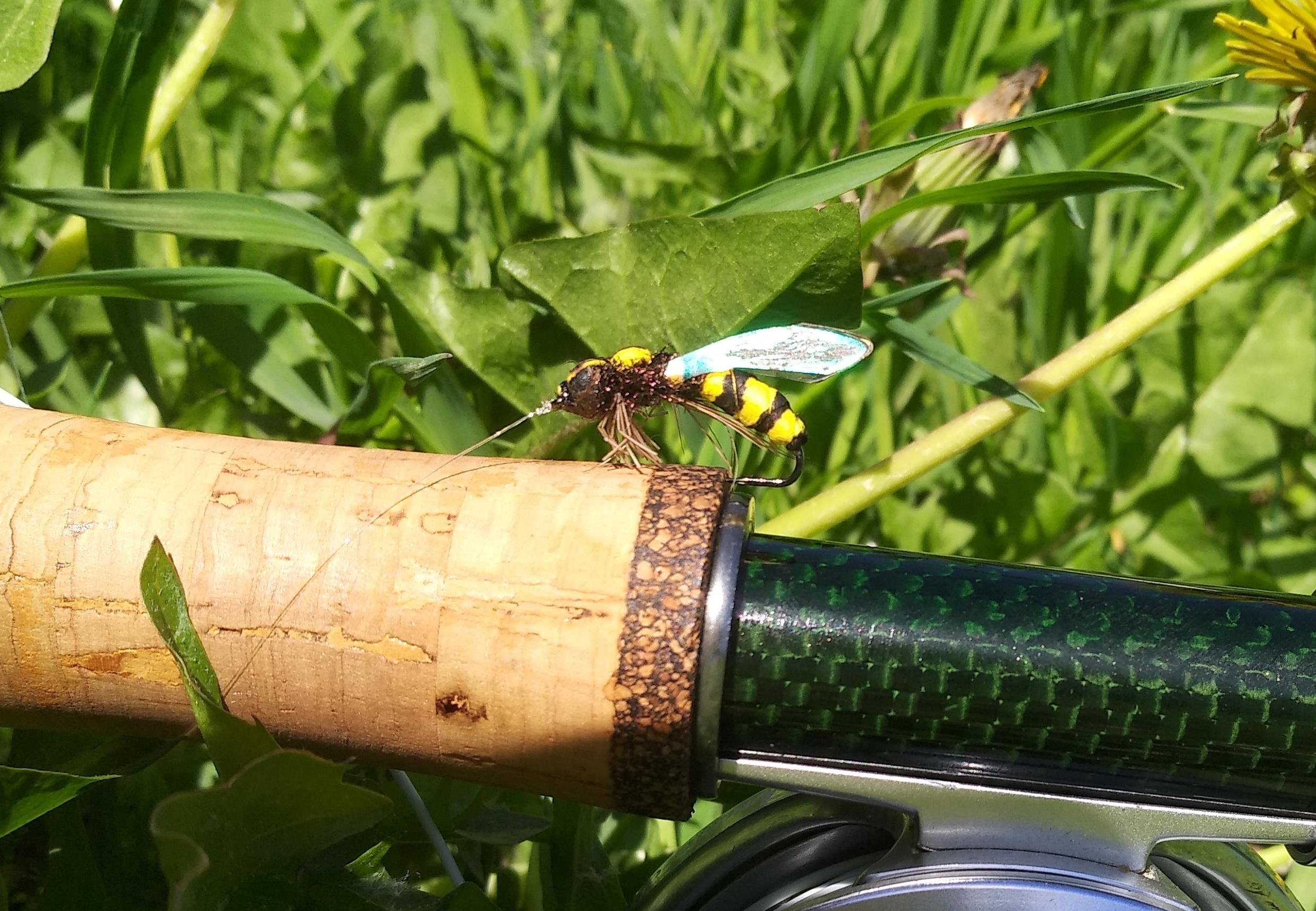 About Wasp | Scrolller