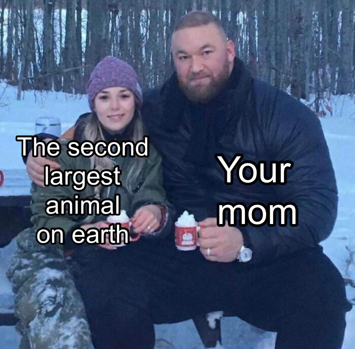 Absolute unit | Scrolller