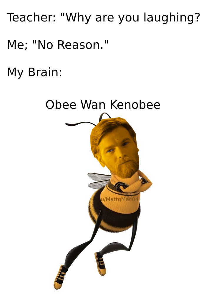 According to all known laws of aviation... | Scrolller