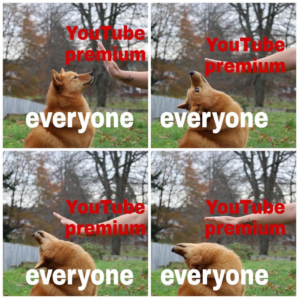 Accurate | Scrolller