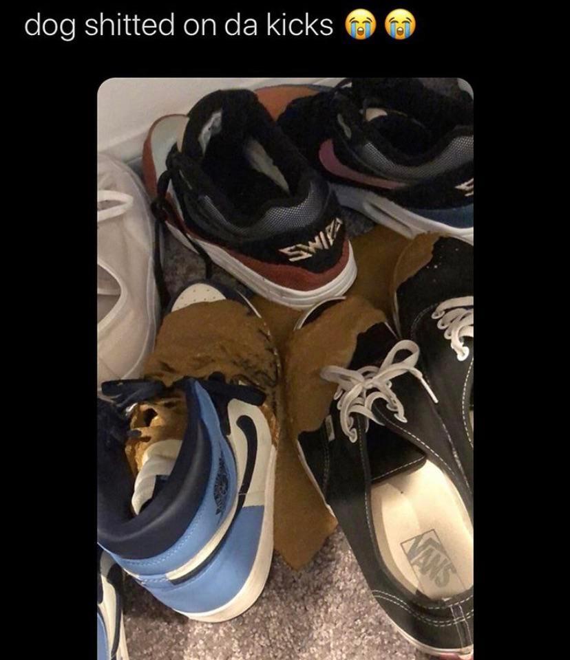 ACTUAL SHITPOST | Scrolller