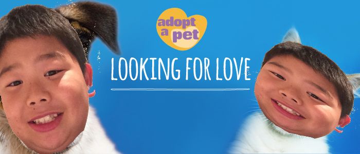 Adopt a Pet Guang | Scrolller