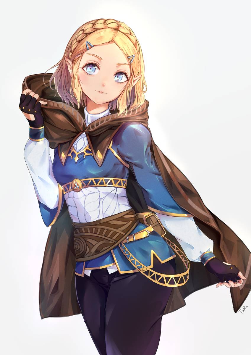 Adventurer Zelda | Scrolller
