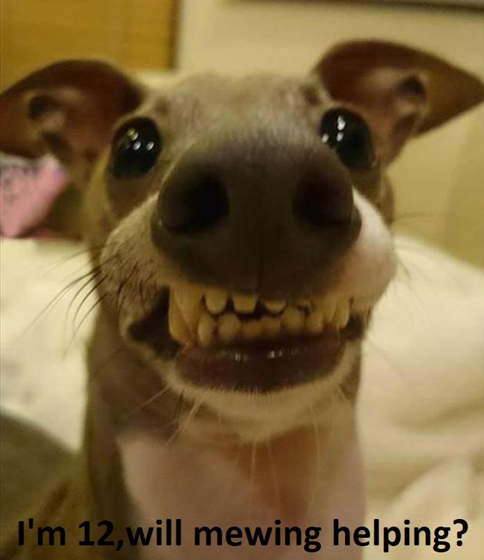 Advice needed | Scrolller