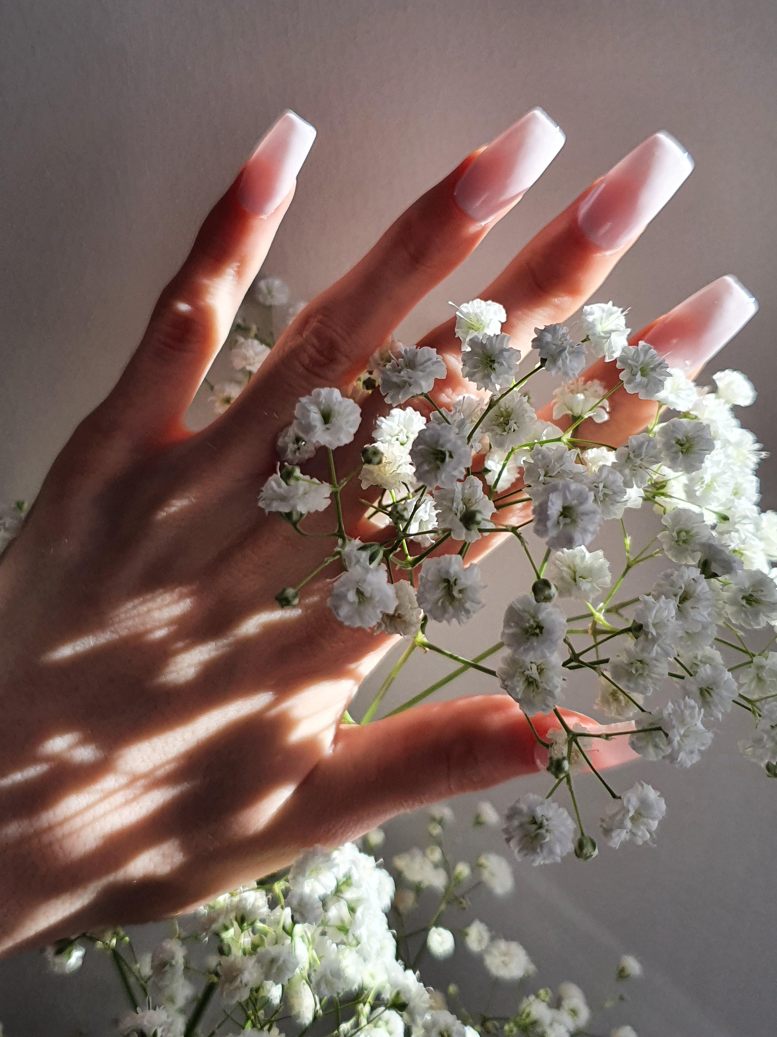 Aesthetic | Scrolller