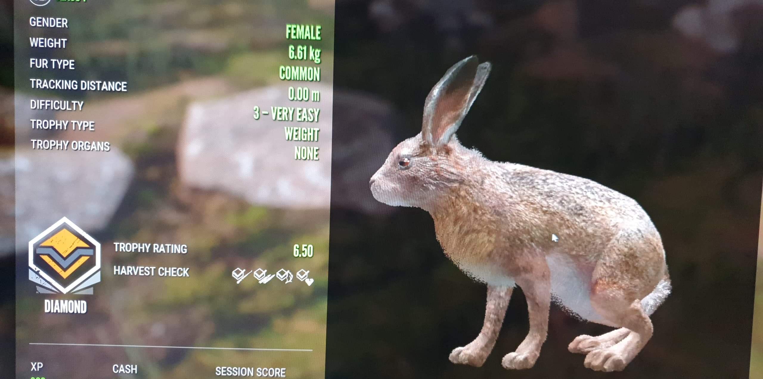 After 90 hours I finally got my first diamond. | Scrolller