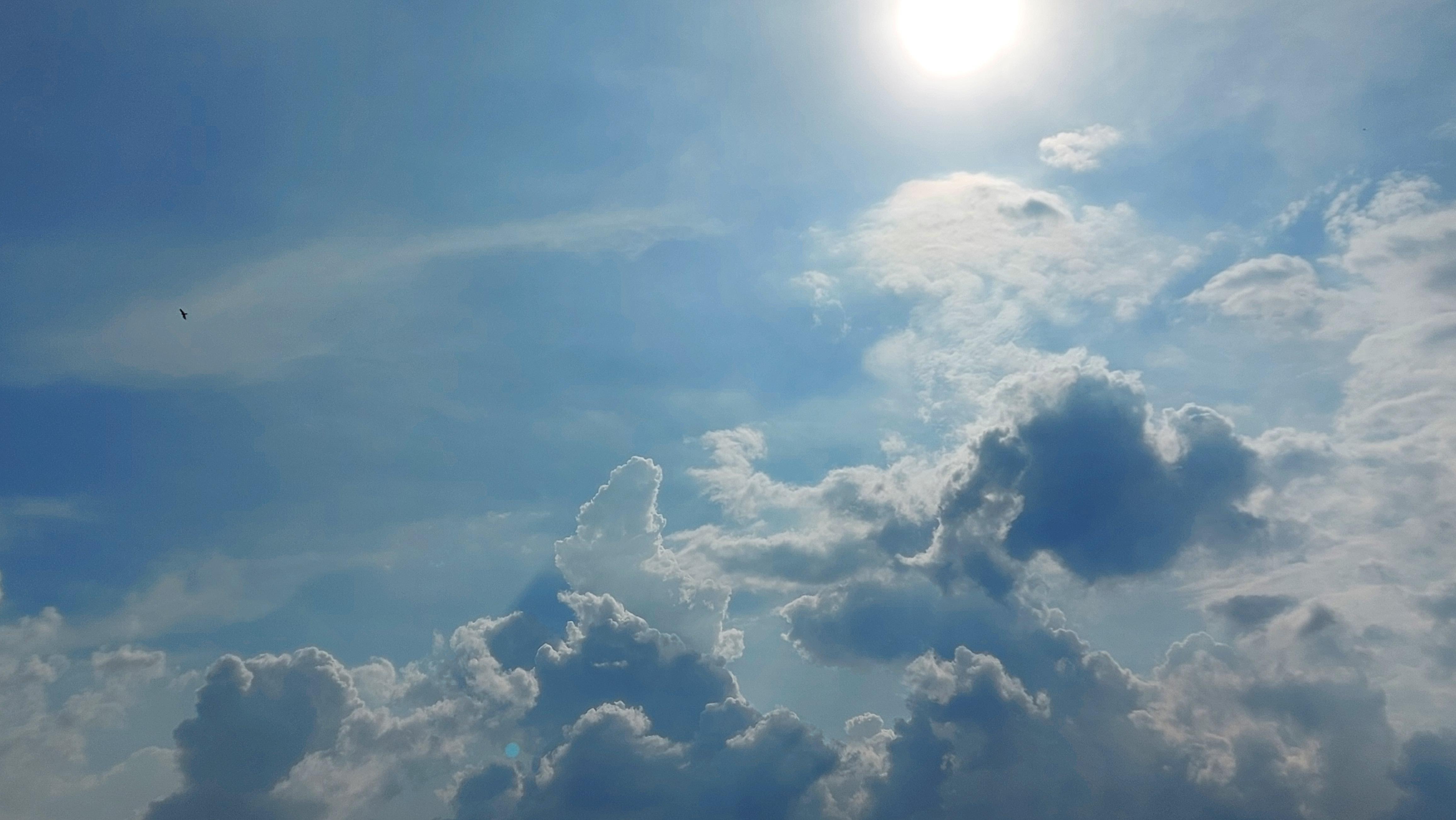 After a little rain | Scrolller