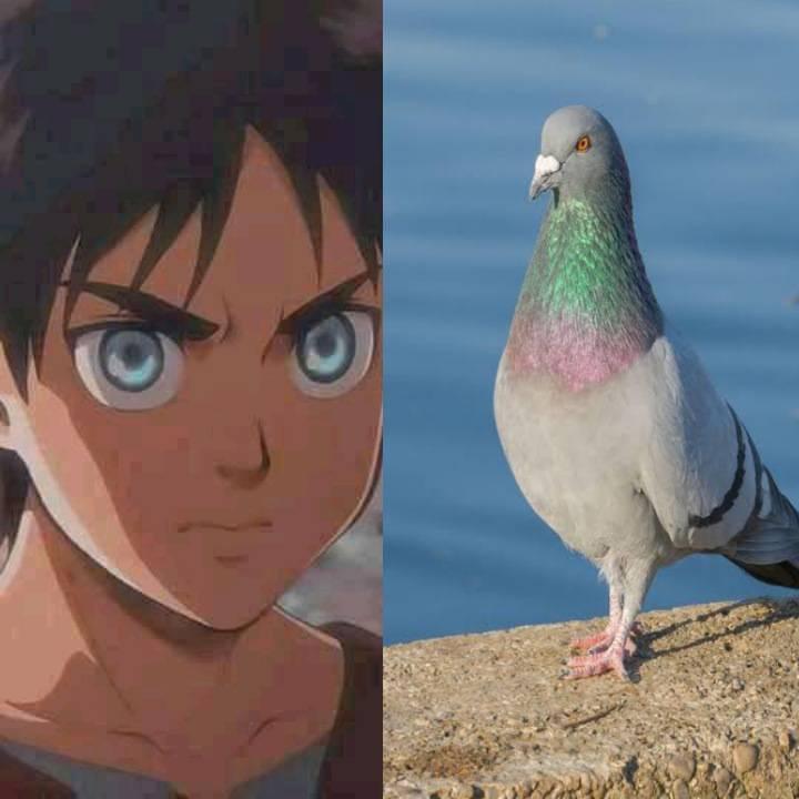 Ah how time flies 😭🕊 | Scrolller