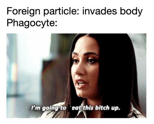 Ah, the good ol’ immune system | Scrolller