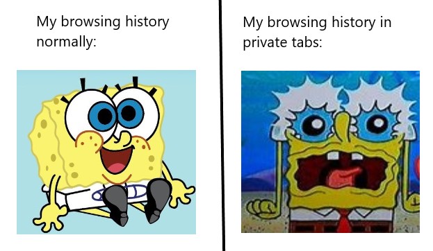 Ah, the 'wonderful' world of my private tabs | Scrolller