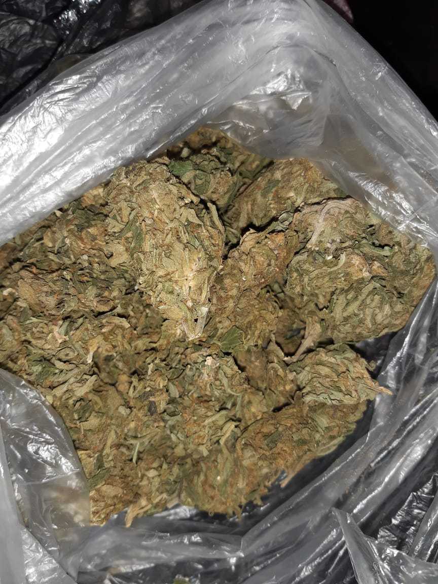 Alguien me puede decir que tipo de weed es? | Scrolller