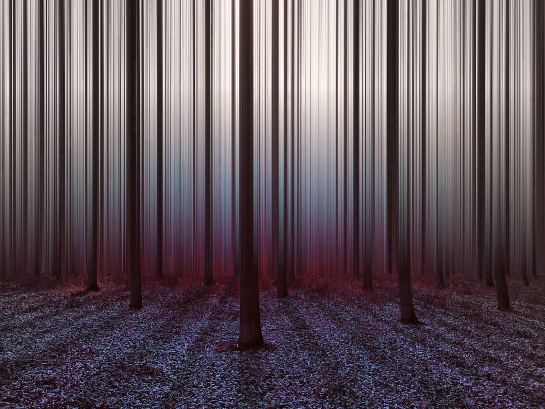 Alien forest | Scrolller