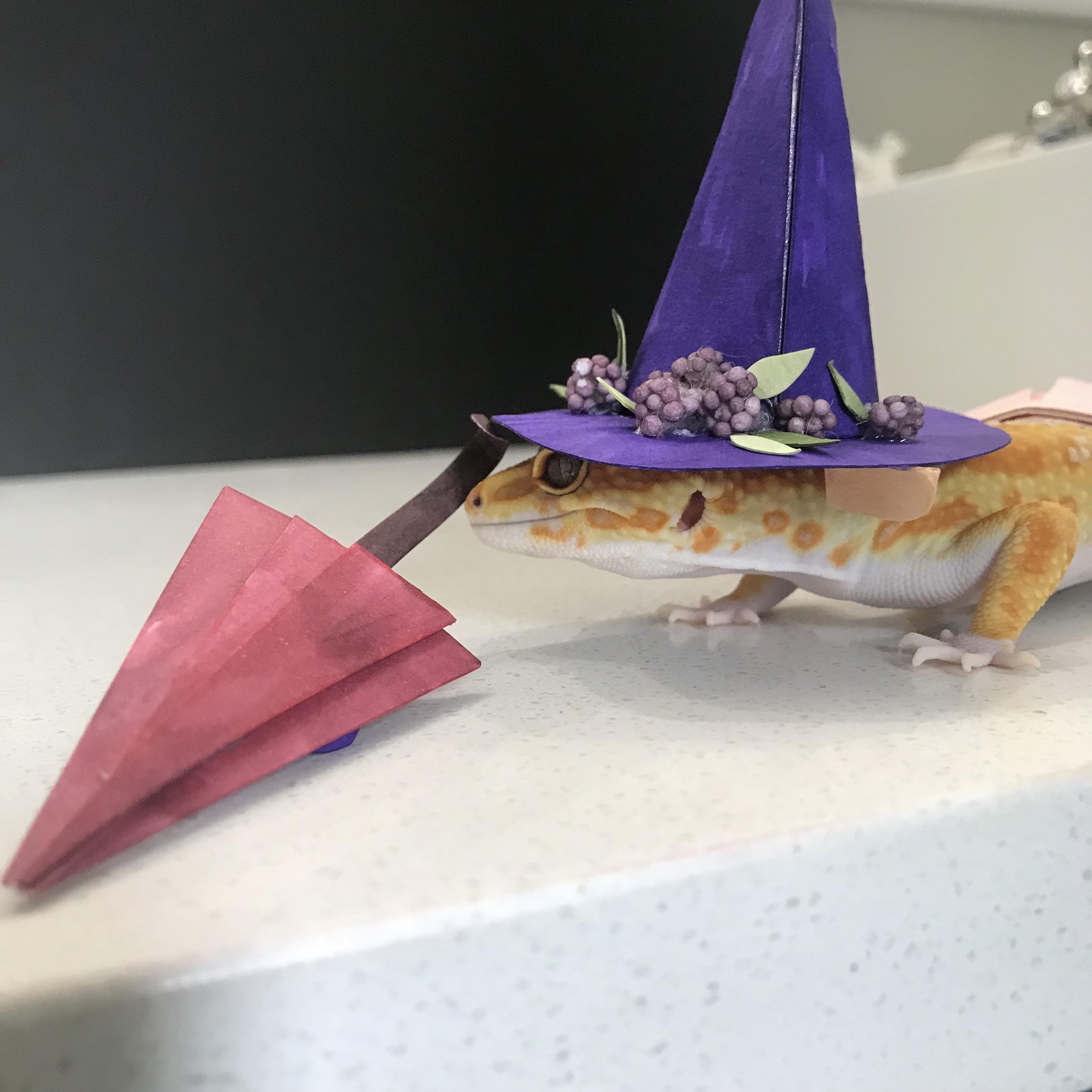 Alistar, my cosplaying leopard gecko! | Scrolller