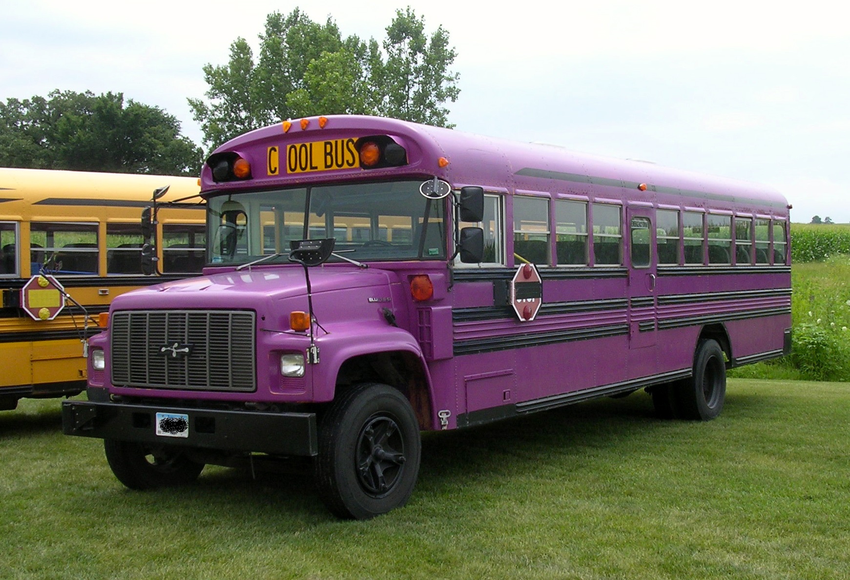 All Aboard! | Scrolller