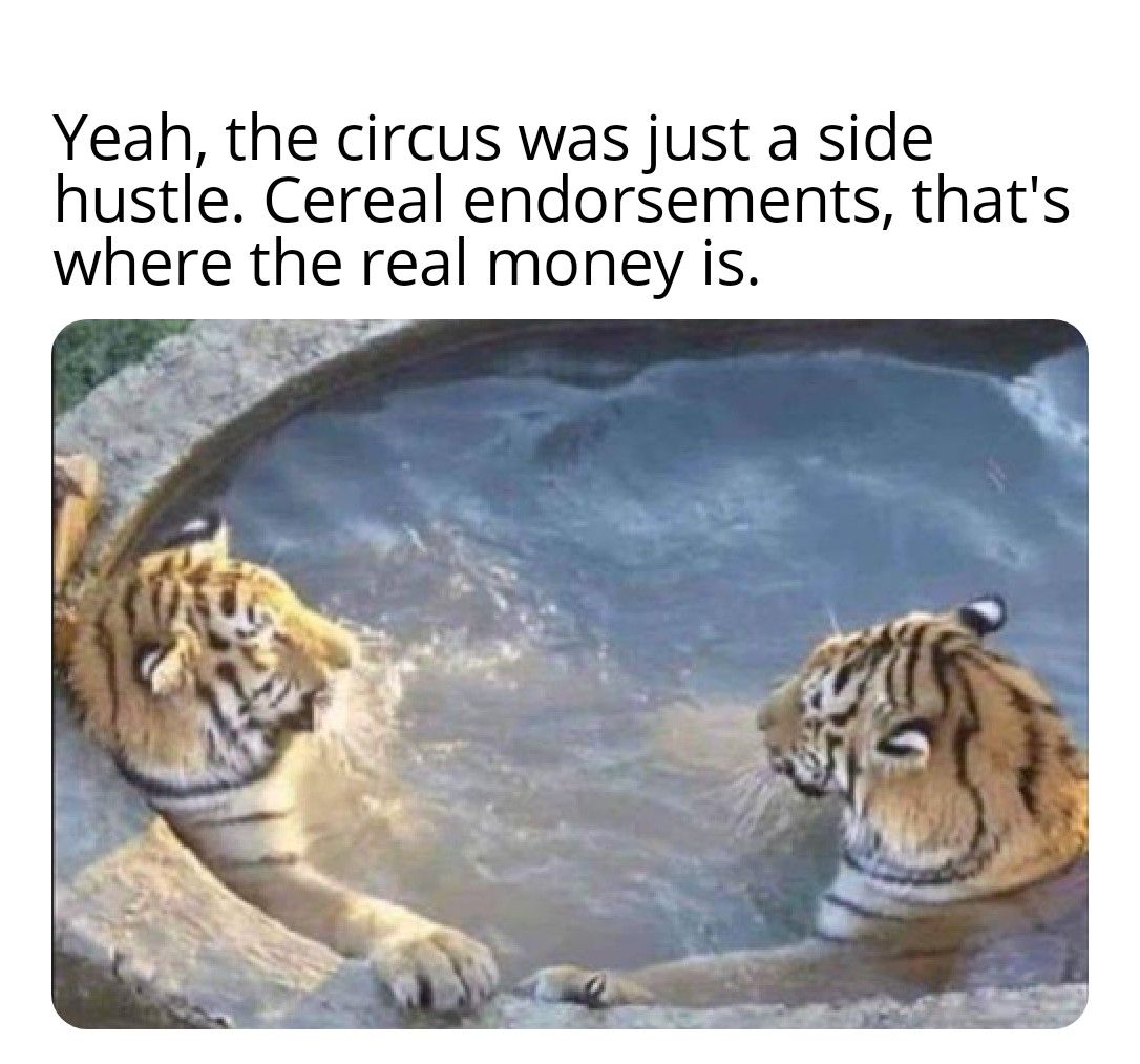 Discover more like Meme: All about the Benjamins and Related Content | Scrolller