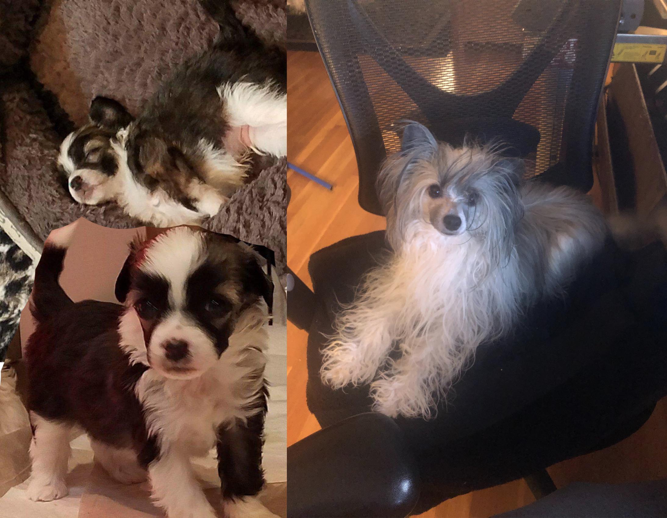 All grown up :-) | Scrolller