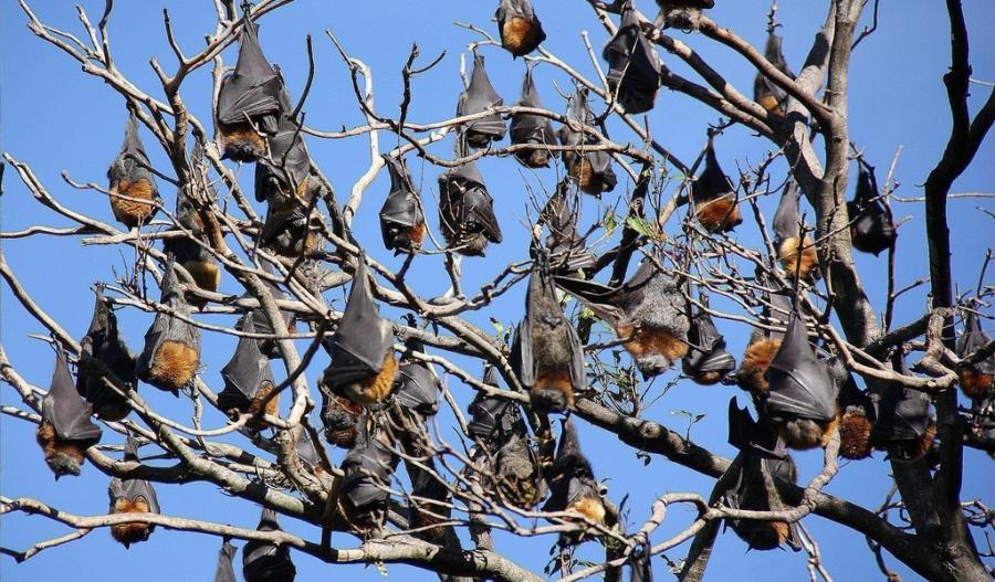 All Masters | Scrolller