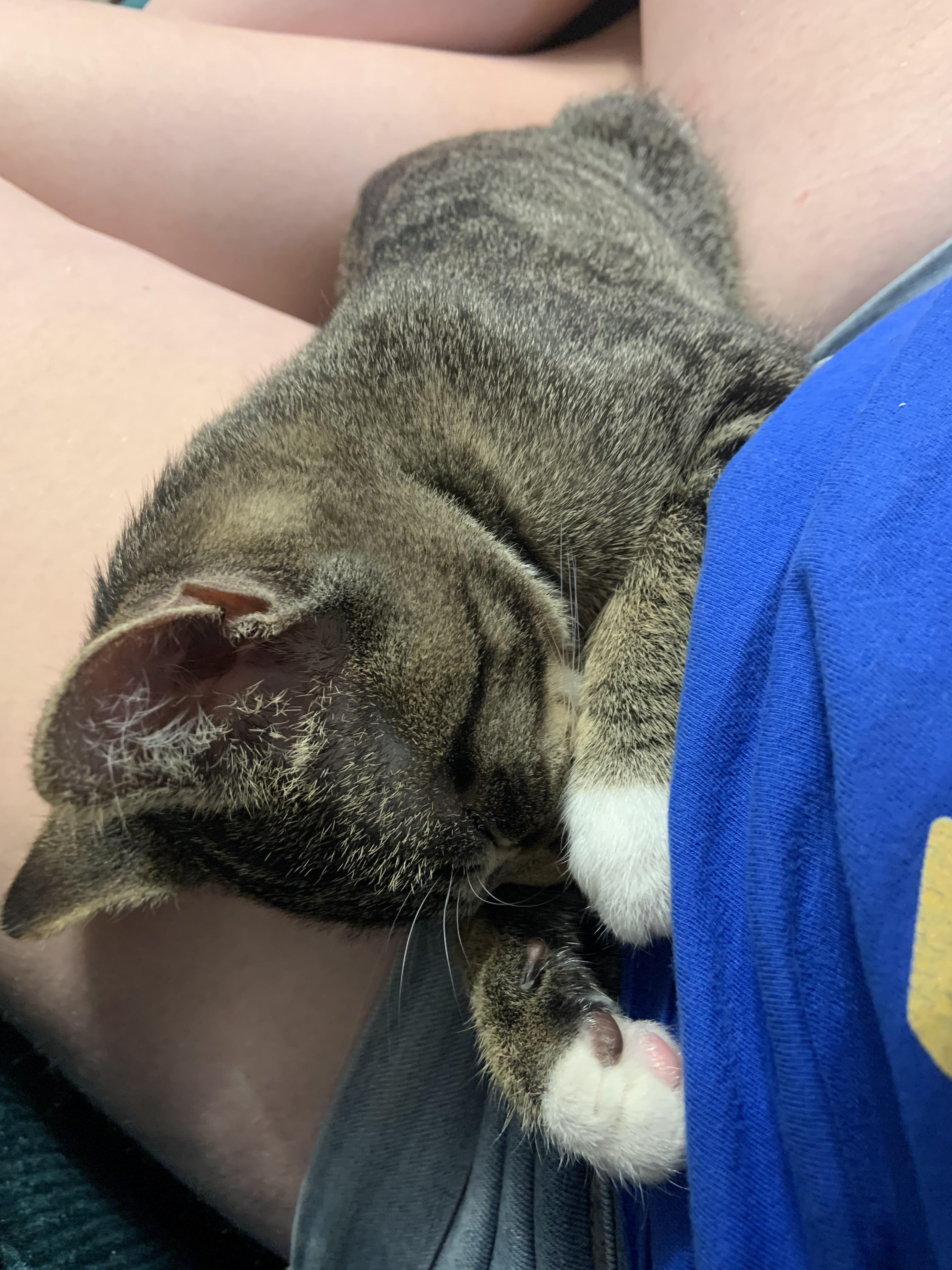 All snuggled up! | Scrolller