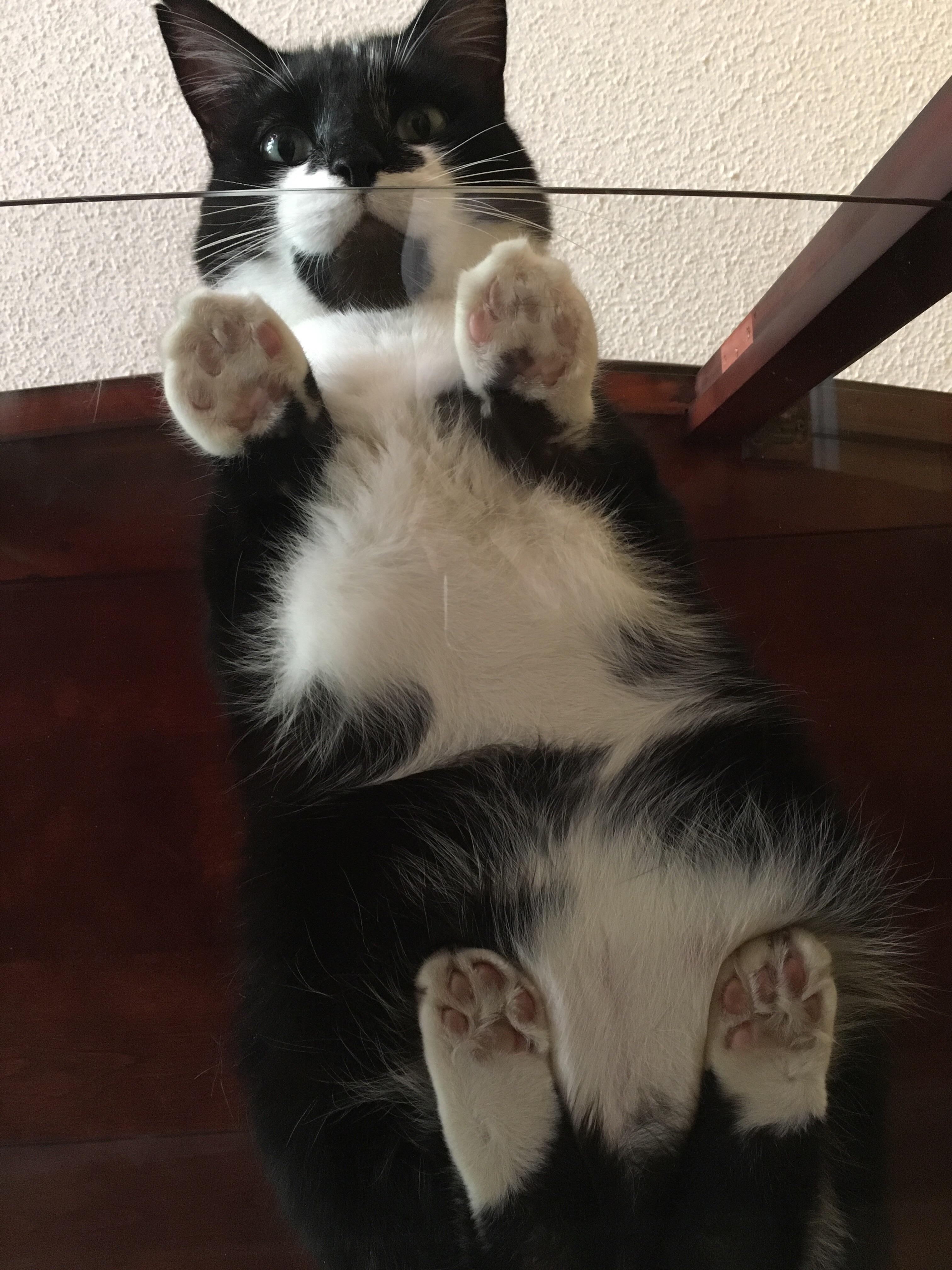 all the feetsies | Scrolller