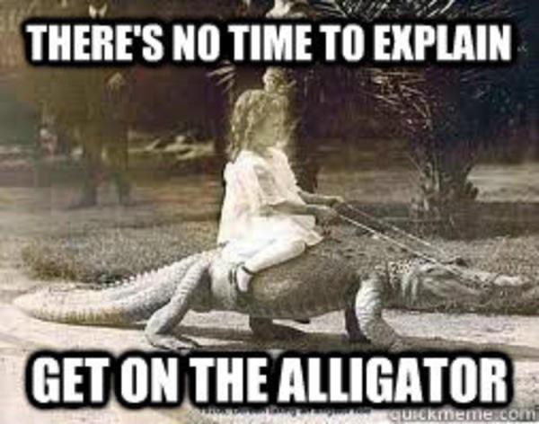 Alligator Army | Scrolller