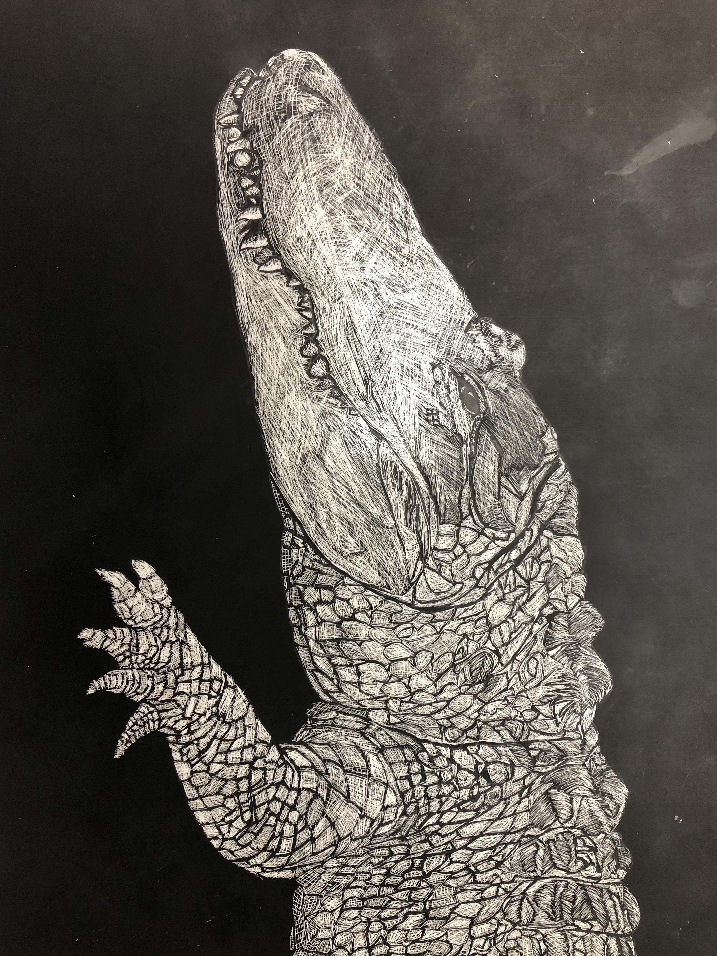 Alligator, Mason, Scratch board, 2020 | Scrolller