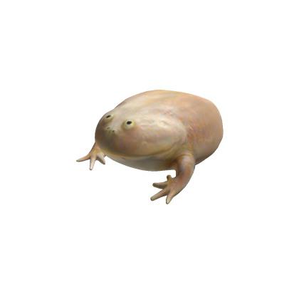 Almost forgot | Scrolller