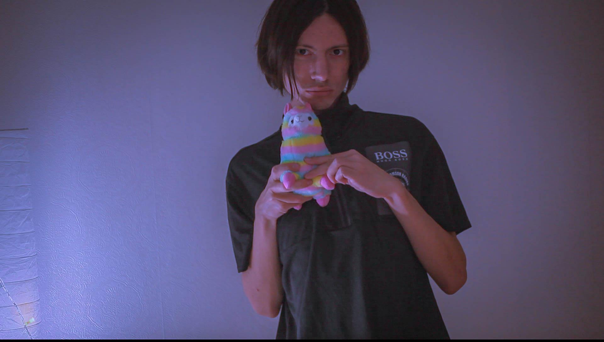 Alpacas are the best! | Scrolller