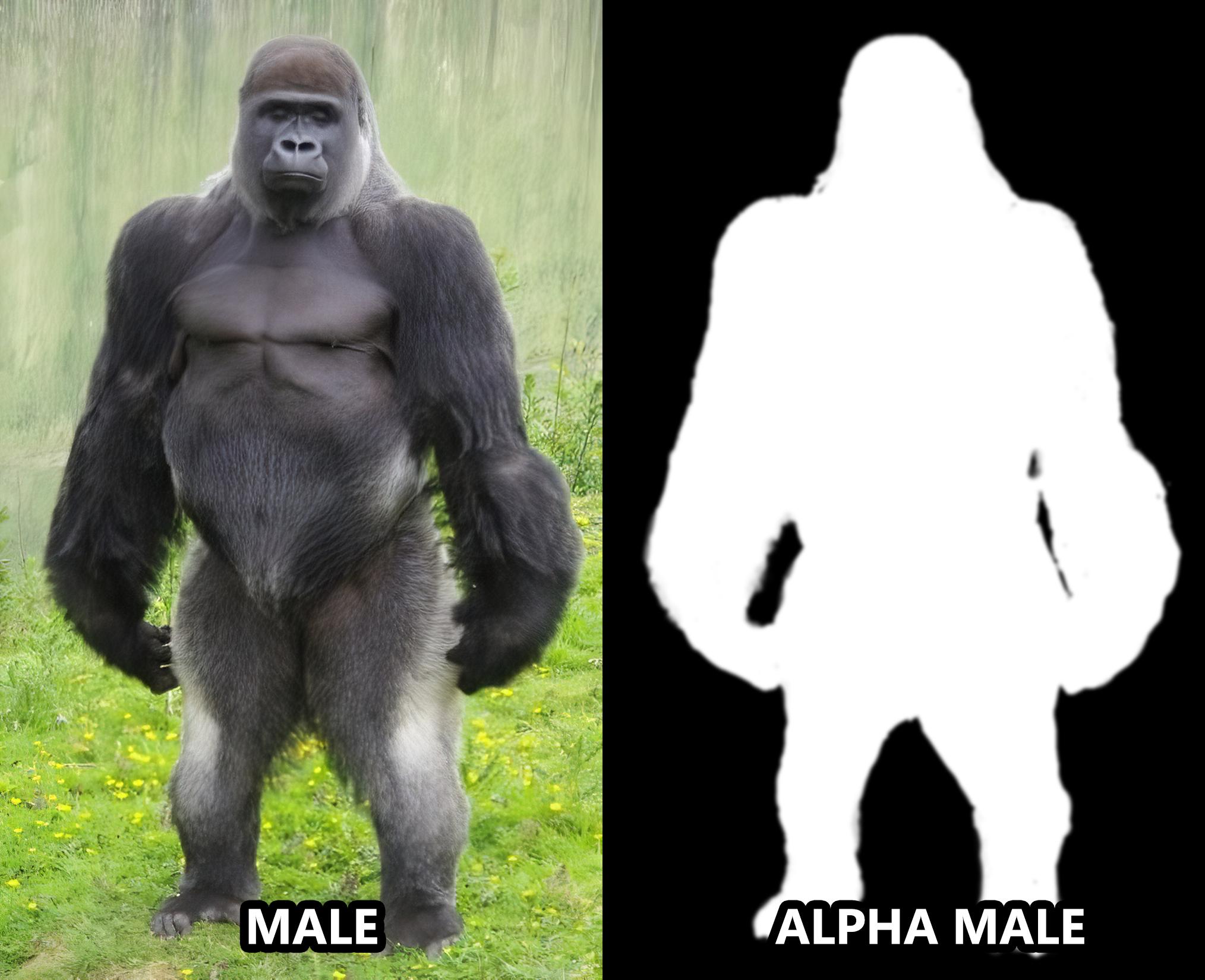 alpha male | Scrolller