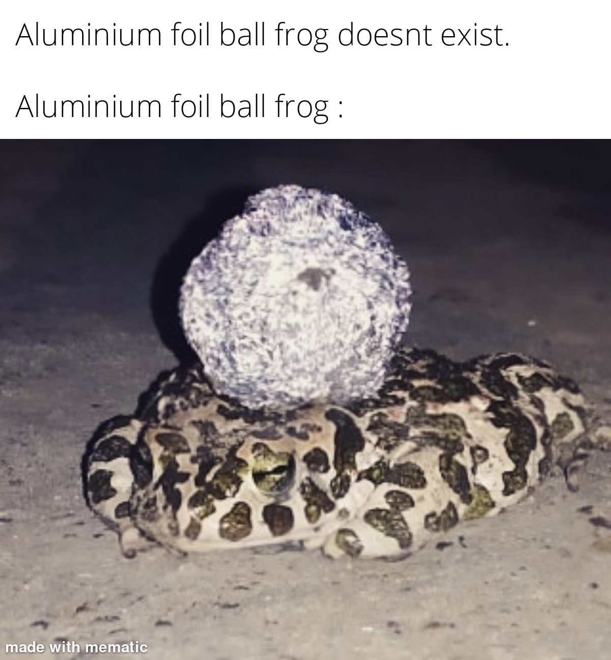 Aluminium ball frog | Scrolller