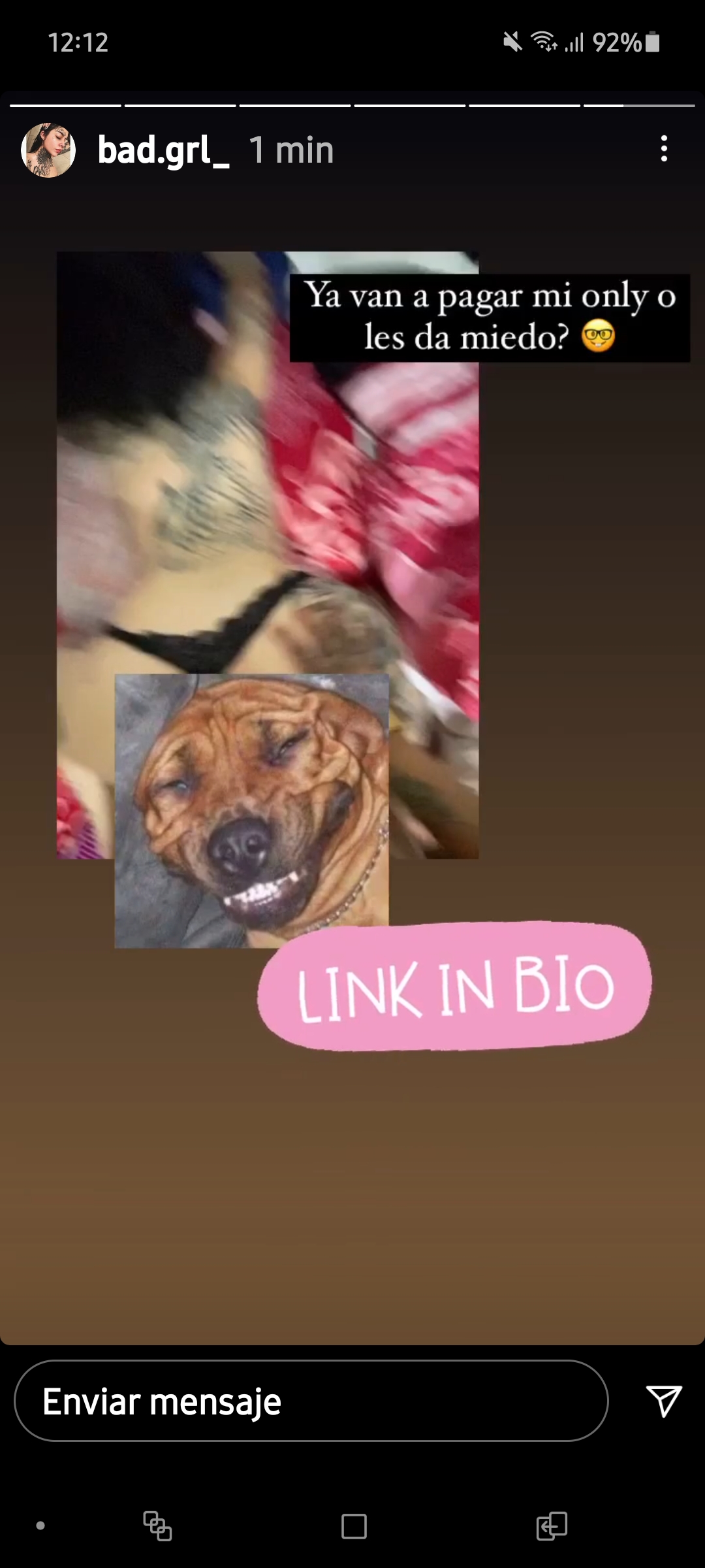 ALV jajajajaj | Scrolller