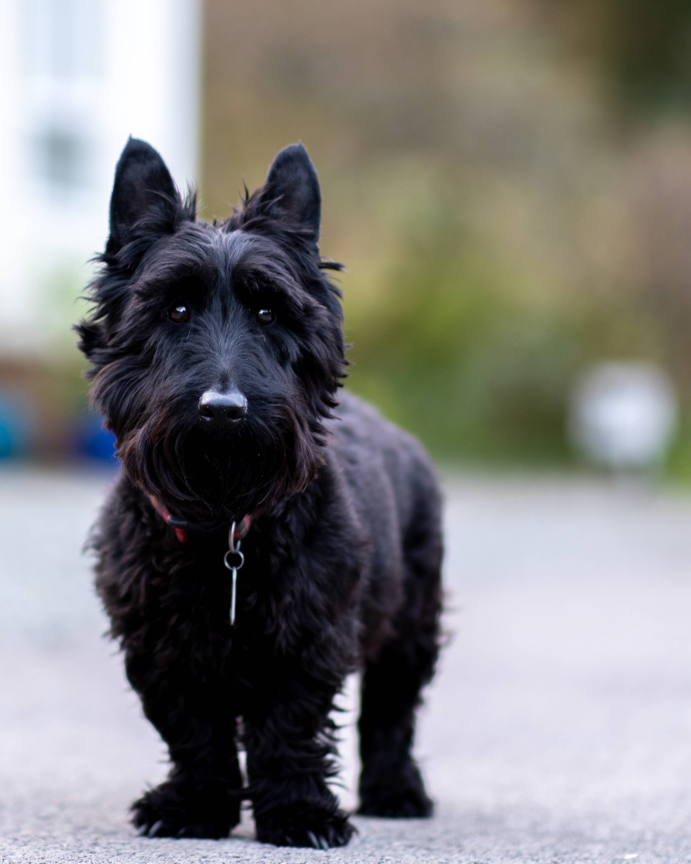 Always at Ten to Two... | Scrolller