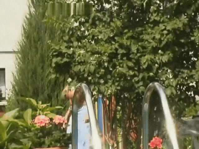 Always Check the Temp Before You Jump In | Scrolller