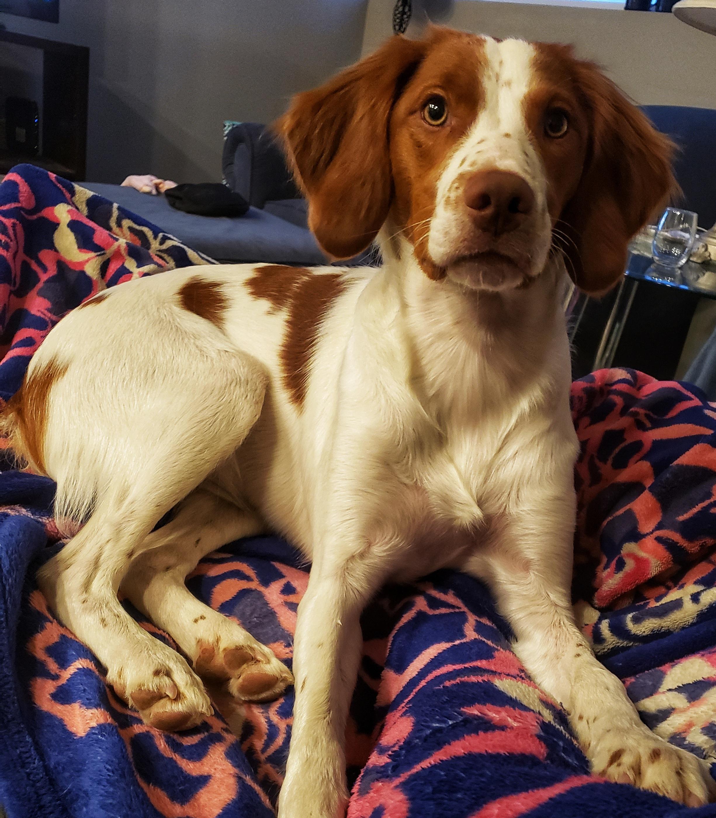 Always making intense eye contact... | Scrolller