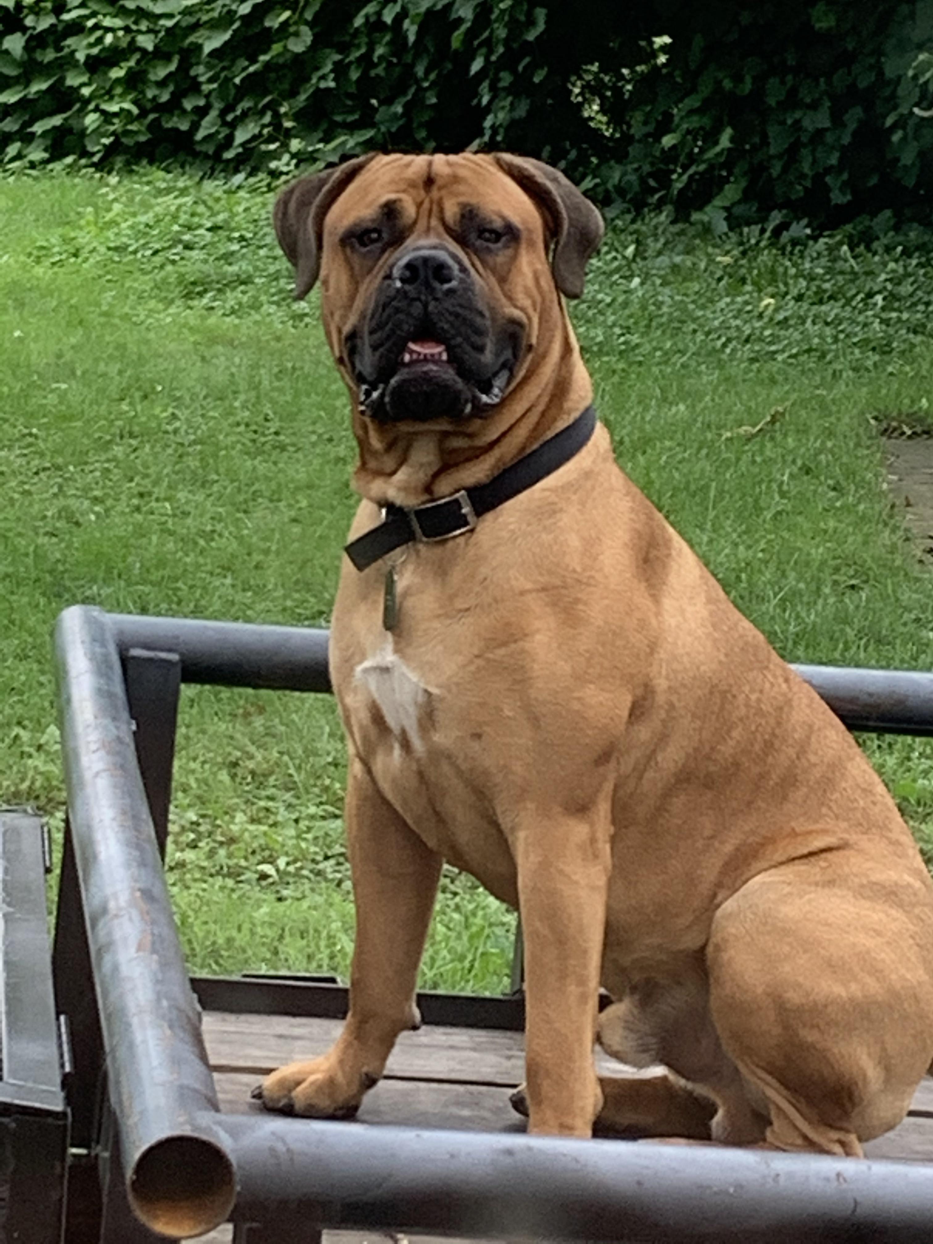 Always on alert | Scrolller