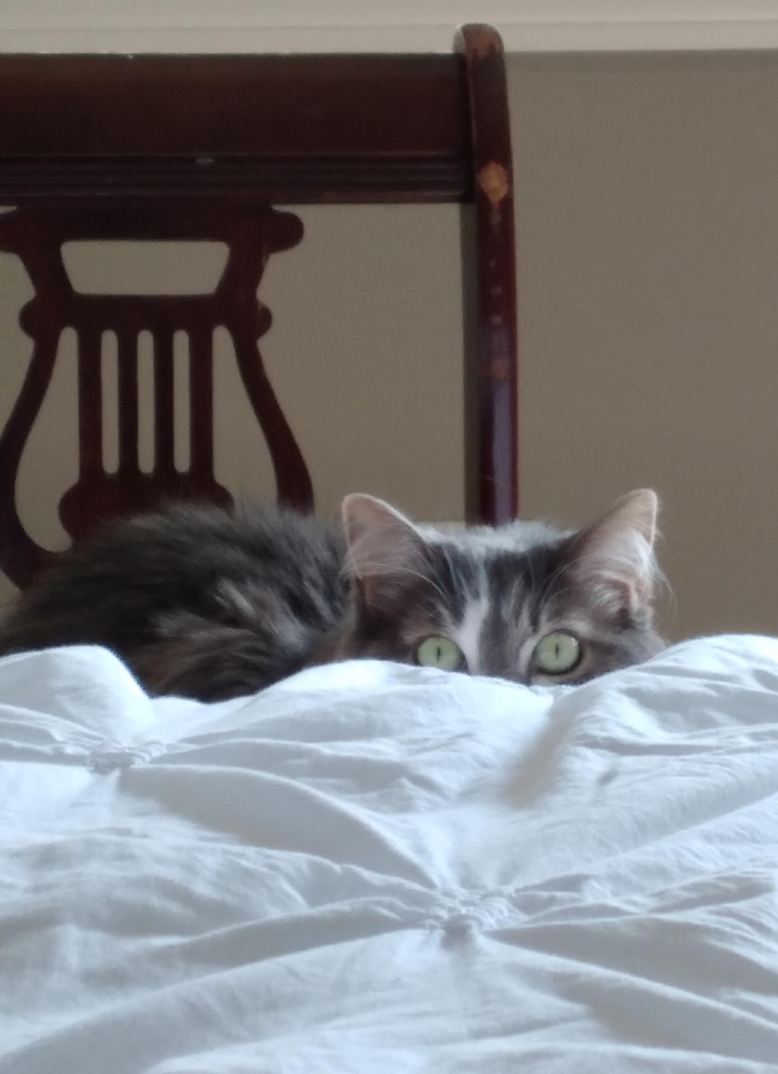 Always watching | Scrolller