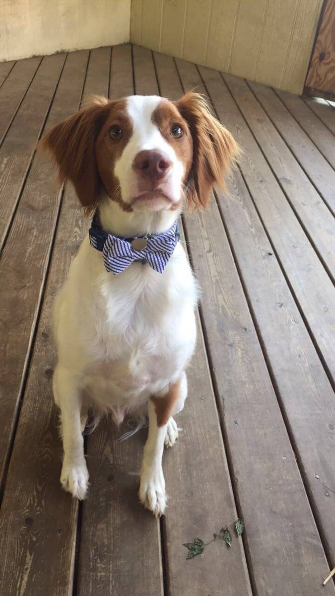 Am fancy boye, pls shmackos | Scrolller