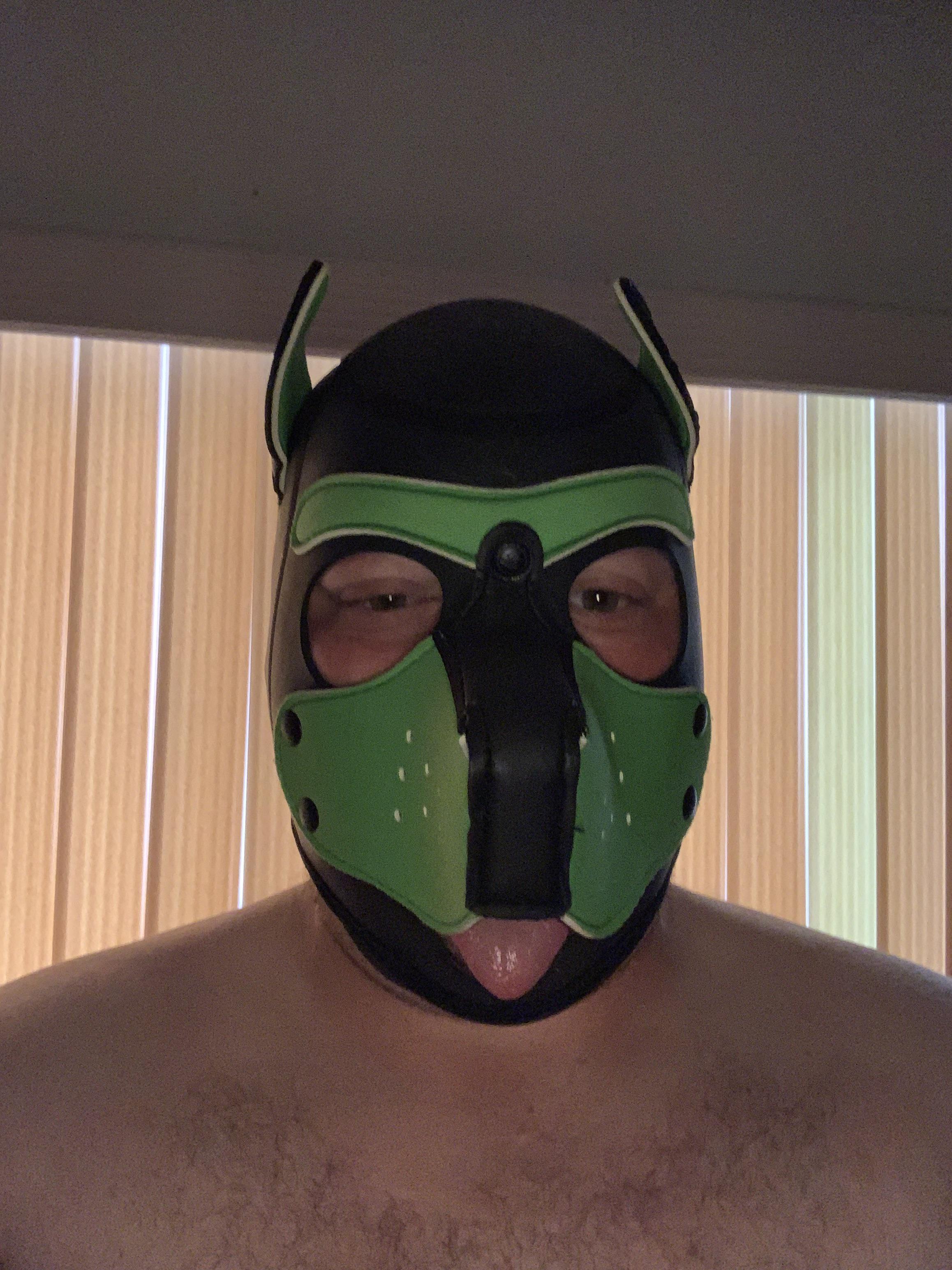 Am I a good boy | Scrolller