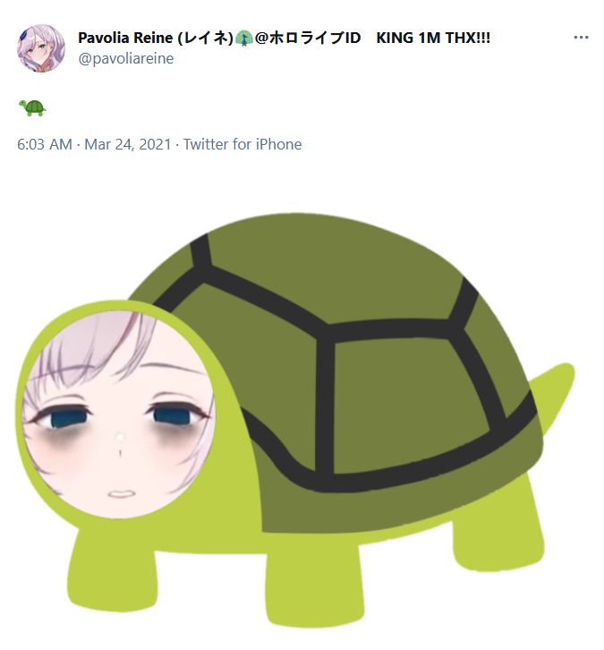 am (pain) turtle | Scrolller