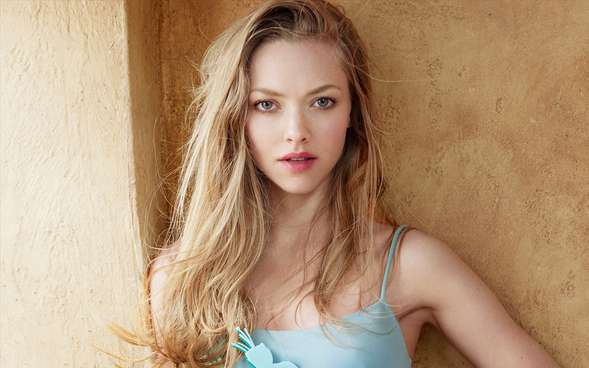 Amanda Seyfried | Scrolller
