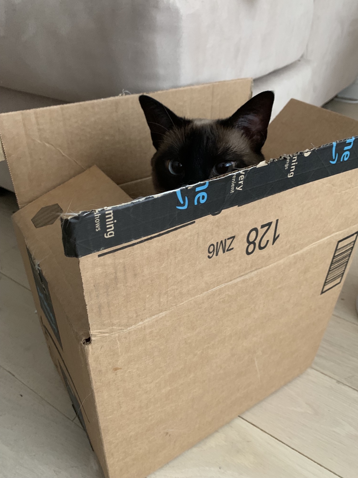 Amazon has trapped yet another one | Scrolller