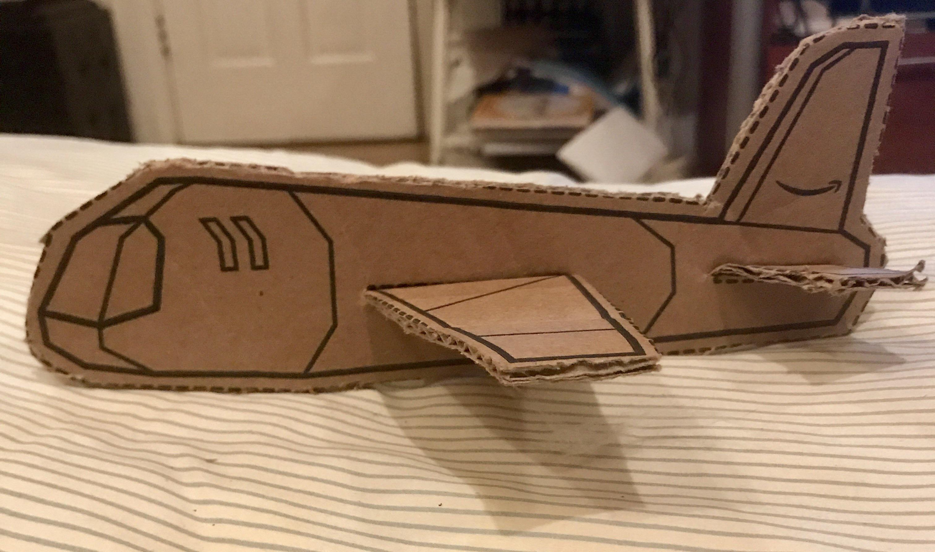 Amazon Prime Day Plane! | Scrolller