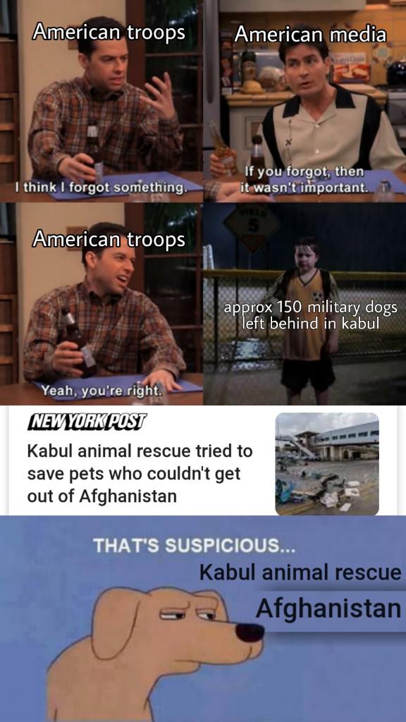 America Americaaaaaa | Scrolller