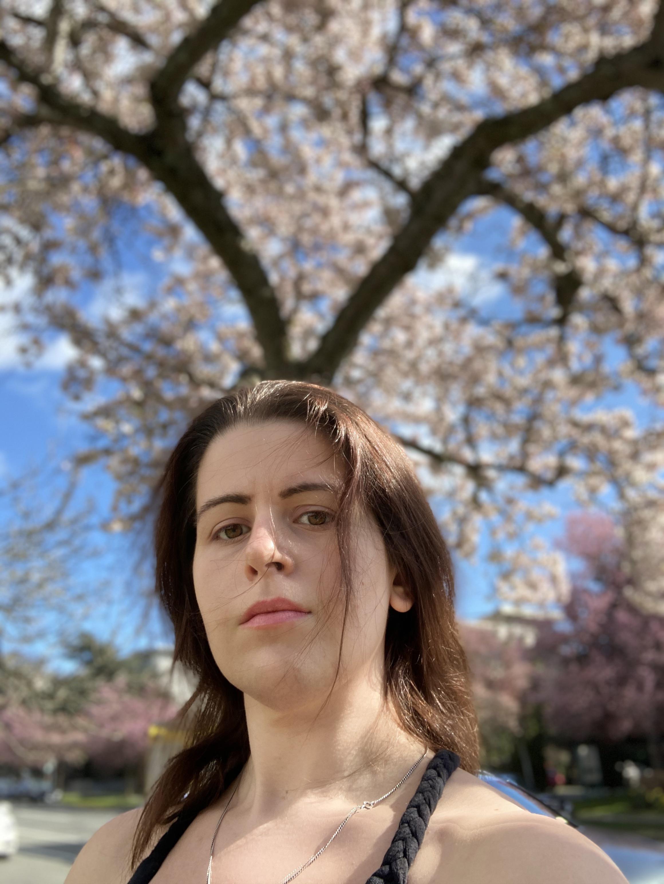 Amongst the cherry blossoms 🌸 | Scrolller