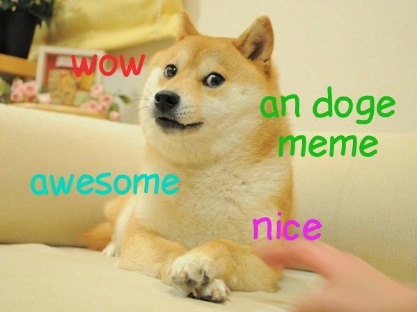 An Doge Meme | Scrolller