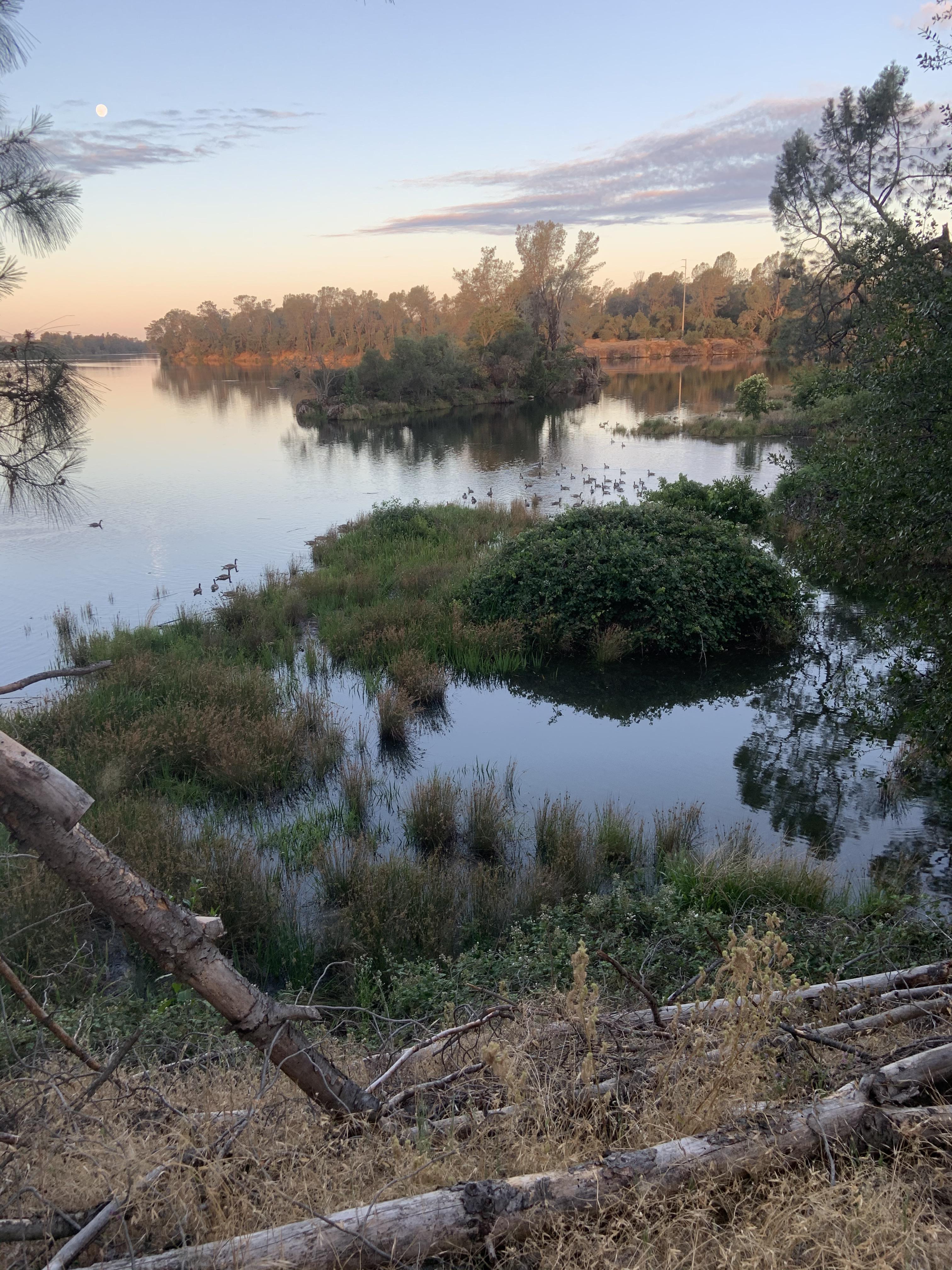 An interesting title | Scrolller