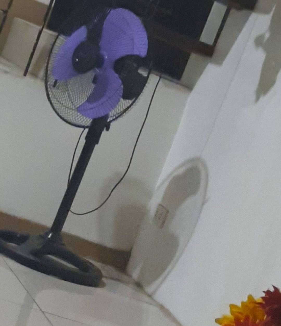 an oddly shaped fan | Scrolller