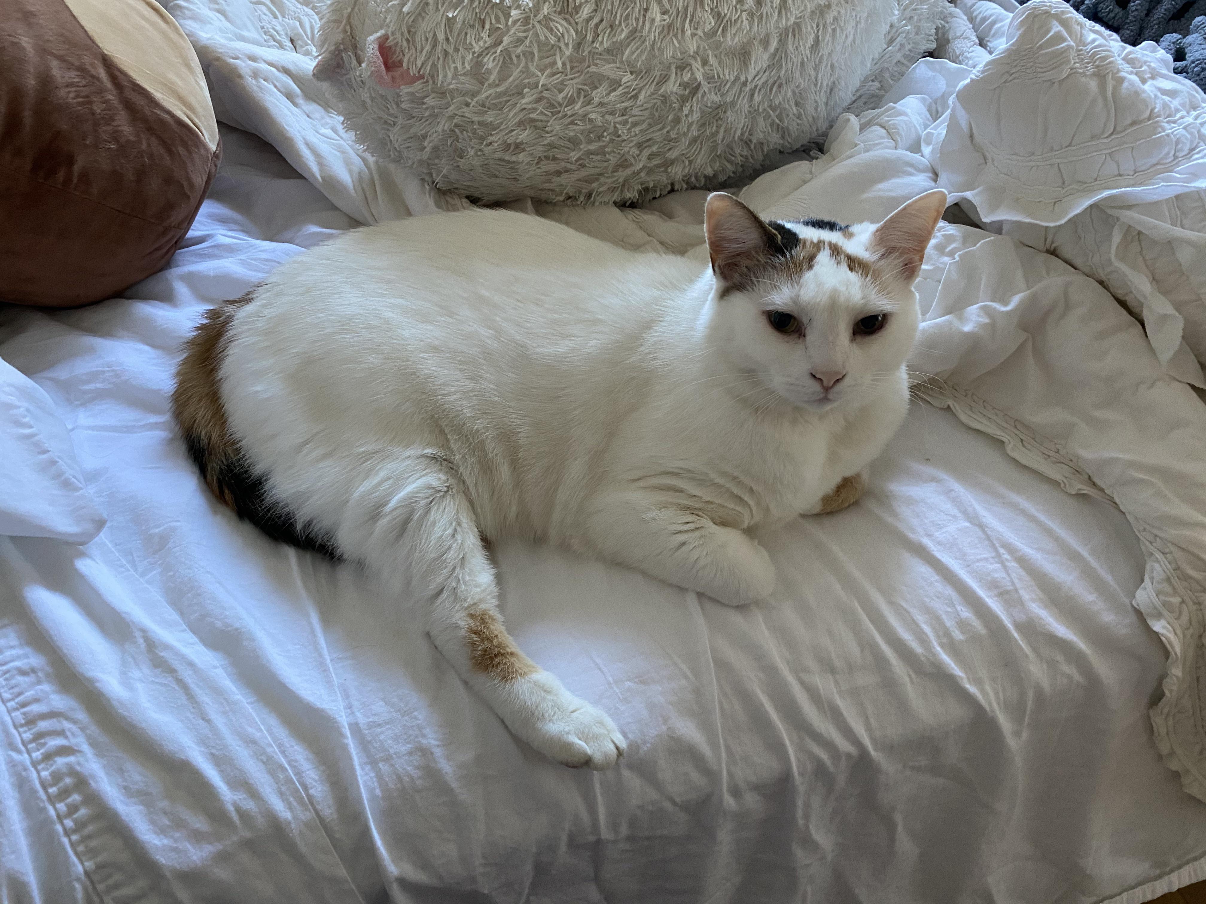 An offering | Scrolller