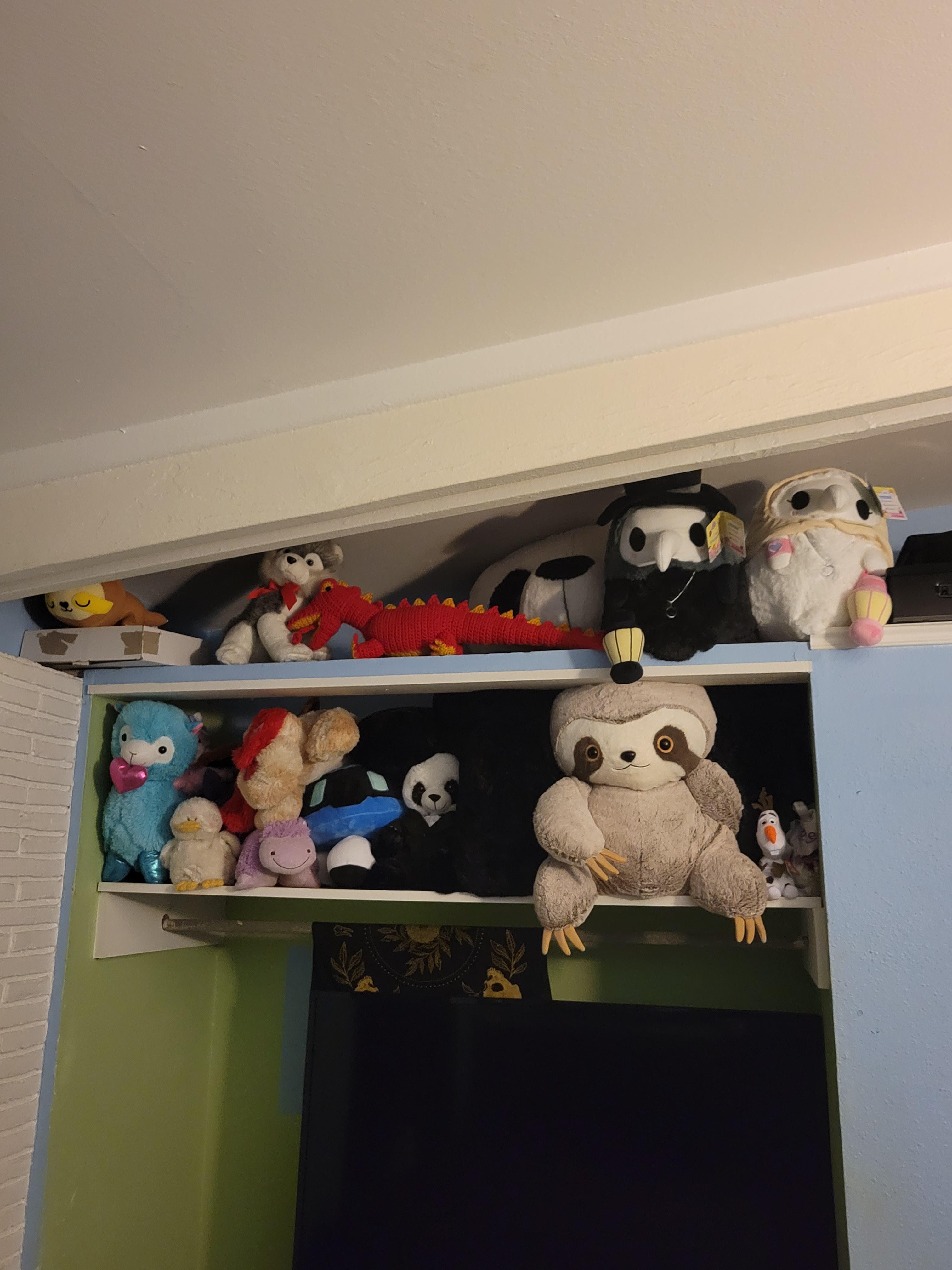 An update to my stuffie collection, Daddy's like plushies also! | Scrolller
